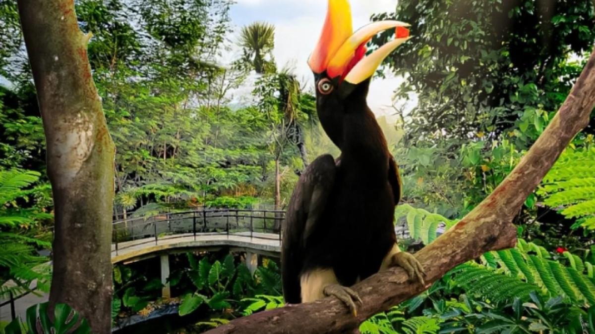 Tiket Pesawat Manado: Harga Terbaru 5-8 Juni 2026 - Wajah Batam News